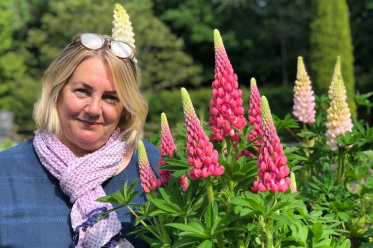 ABOUT HARE SPRING LUPINS – Hare Spring Cottage Plants